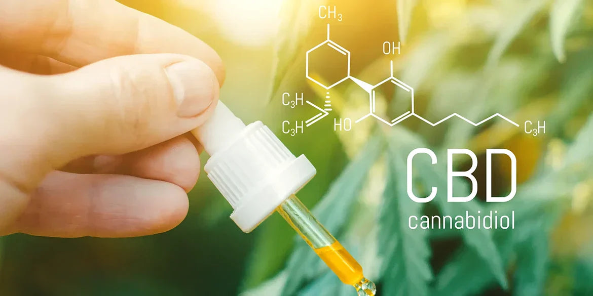 Alles über CBD: Darum ist Cannabidiol im Hype!